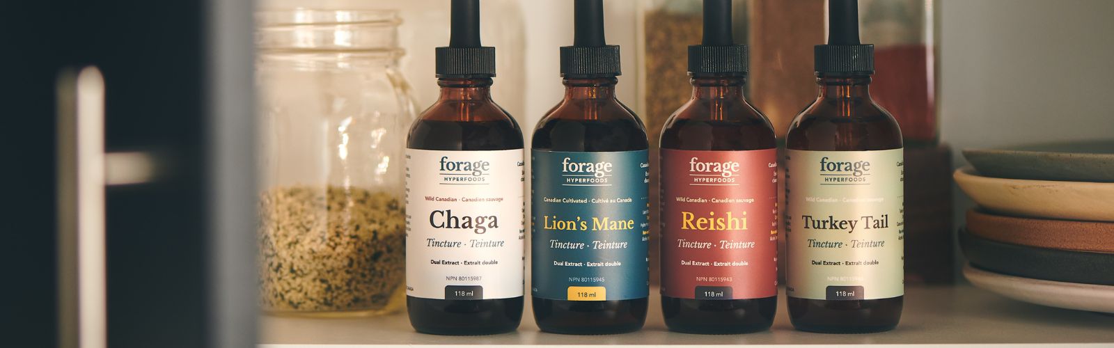 How to Use Mushroom Tinctures | Forage Hyperfoods Guide