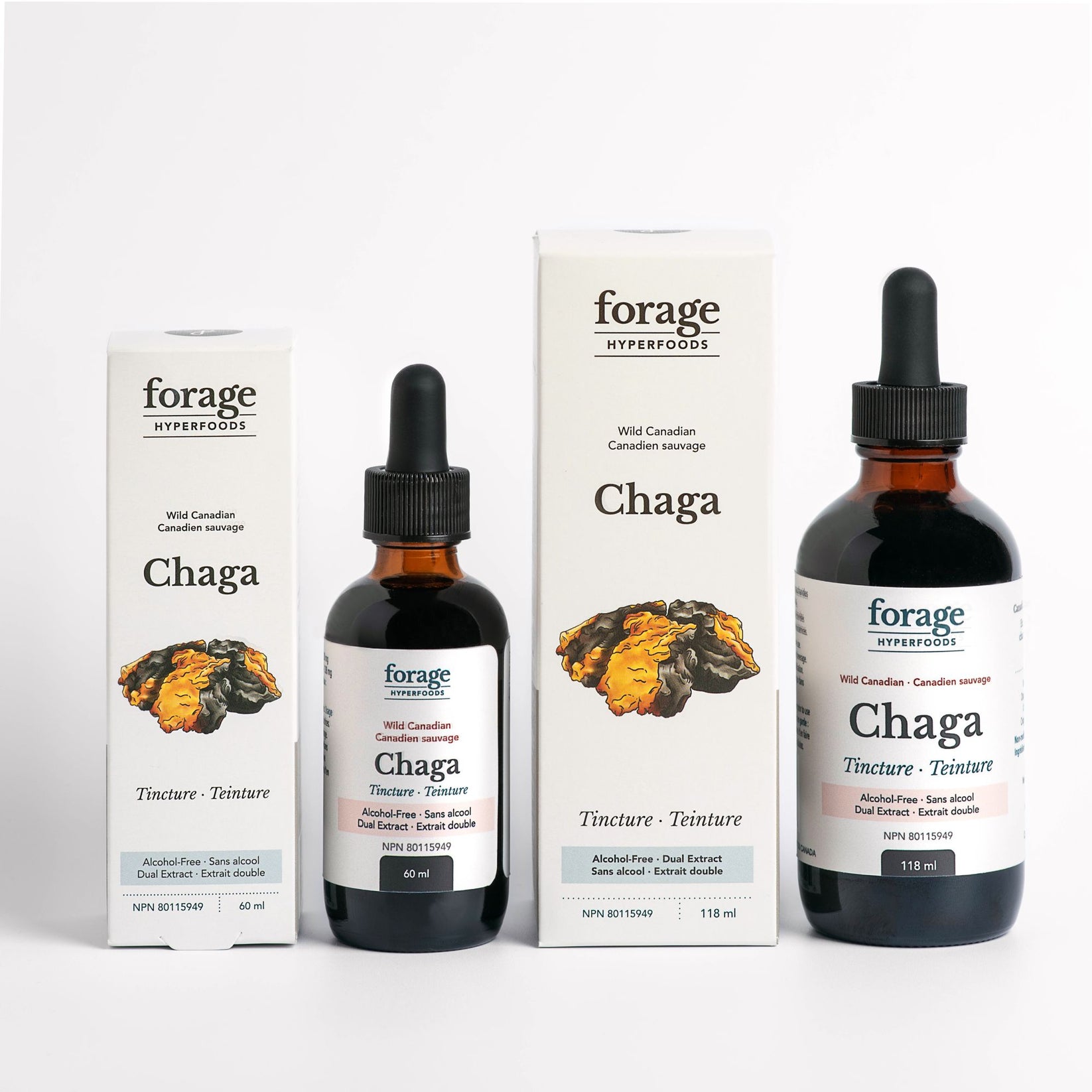 Chaga Liquid Extract Tincture – Alcohol-Free | Forage Hyperfoods