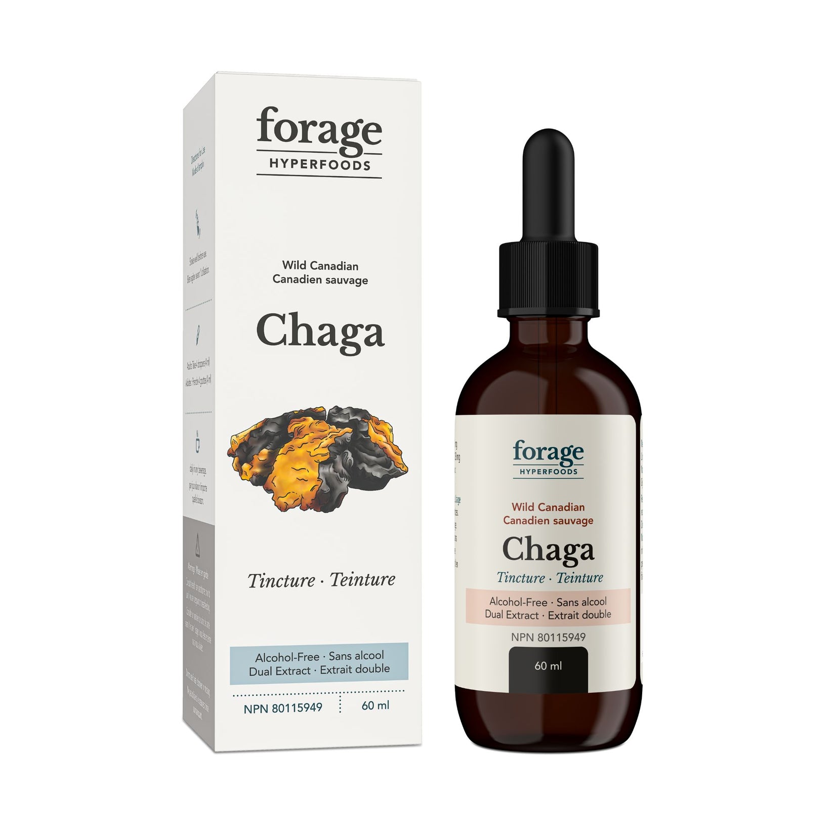 Chaga Liquid Extract Tincture – Alcohol-Free | Forage Hyperfoods