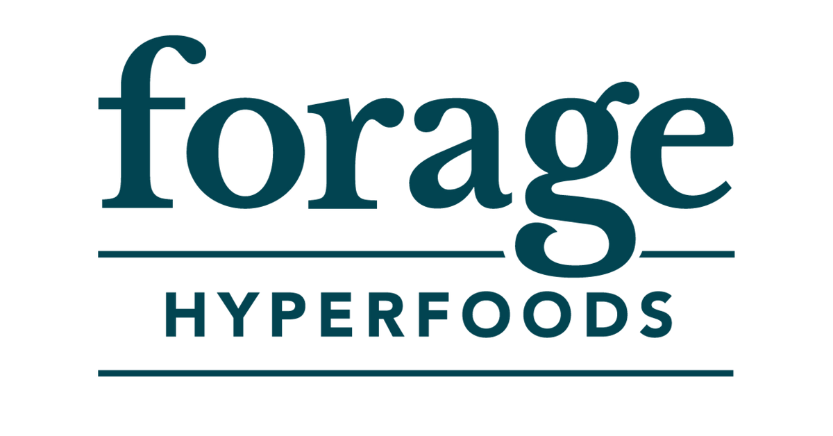 Choosing the Best Mushroom Tincture – Forage Hyperfoods